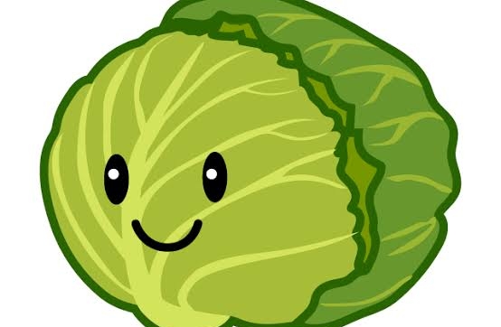 Thank you cabbage第2弾☆ミ